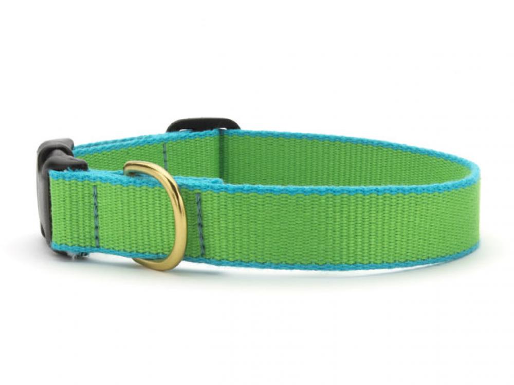 Dog Collars: 1" WideLime with Aqua Bamboo Embroidered Collar